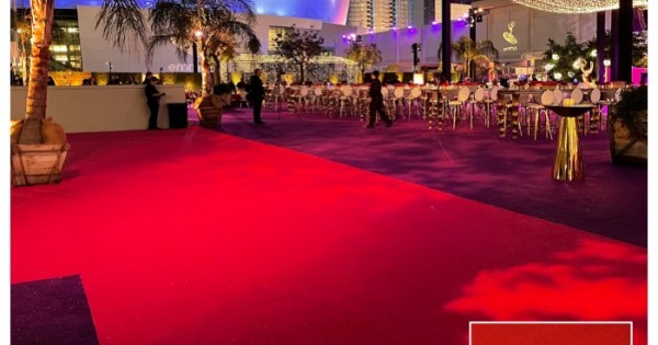 RED Event Carpet (2mm/5mm) High-Quality Event Carpets | Eco-Friendly ...